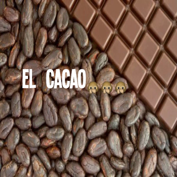 el cacao :: Solo chicas